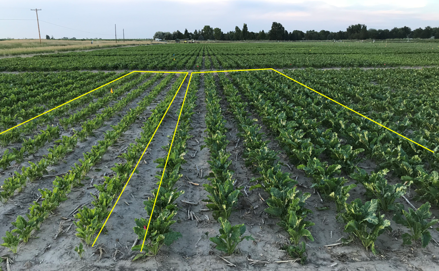 Analyzing Irrigation Efficiency from All Angles - North Central Region ...