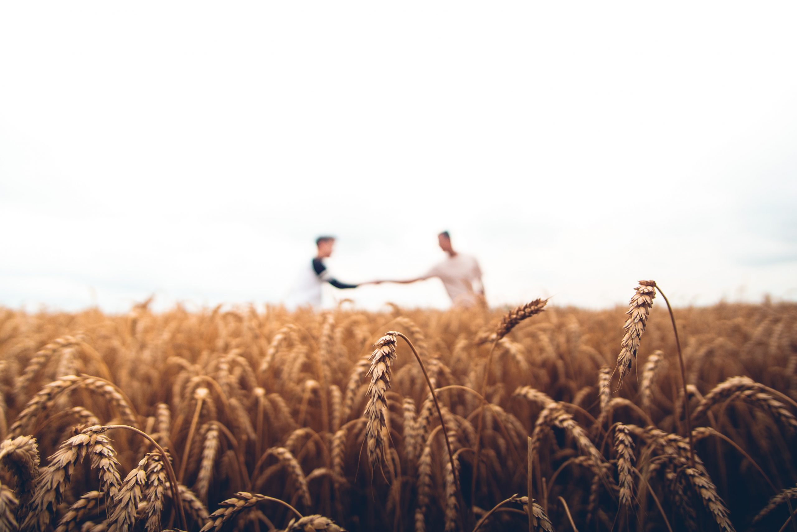 Farmer-to-Farmer Conservation Learning and Leadership - North Central ...