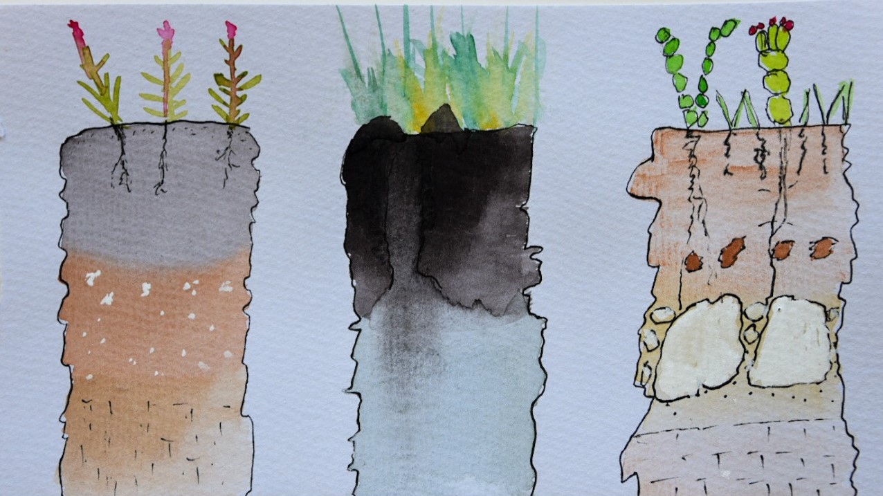 How One Scientist Makes Science and Art with Soil - North Central ...