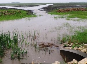 Tackling nutrient reduction BMPs for cold climates: A case of the Red ...