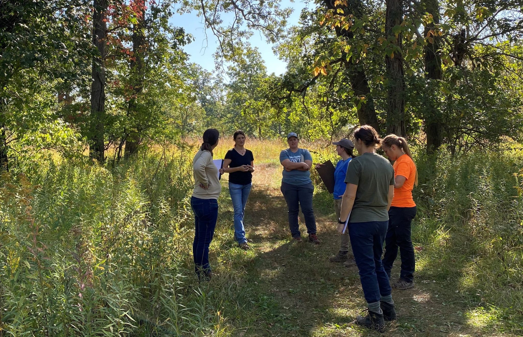 Launching the Women’s Woodland Stewardship Network to Support Women in ...