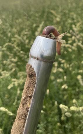 Diverse Corn Belt Project Maps a Road to a More Prosperous Future ...